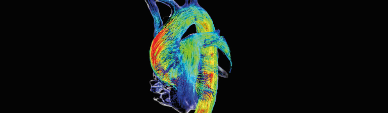 Le Bonheur Heart Institute experts present research at World Congress ...