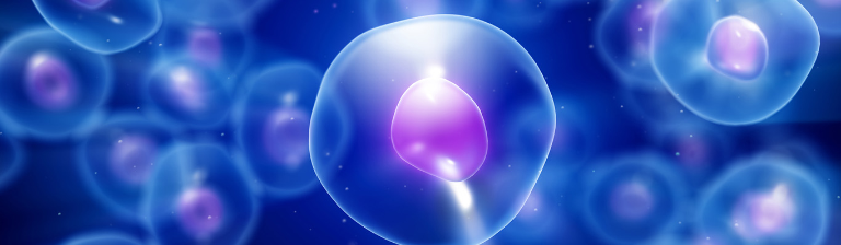 Cell Connections - Le Bonheur Children's Hospital