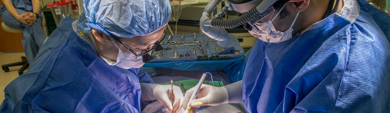 Pediatric Surgery - Le Bonheur Children's Hospital